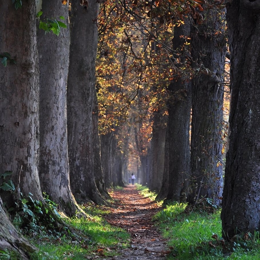 Harmony Project - Living Sanctuary Heart & Home